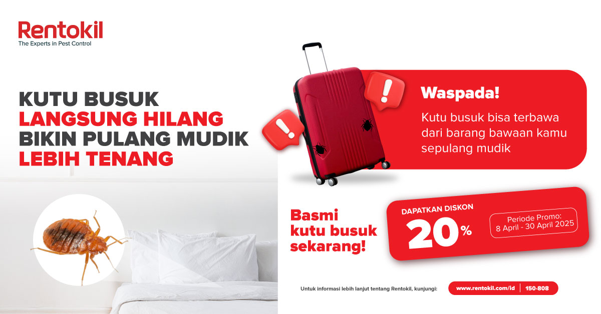 Bed Bugs Elimination Program | Rentokil Indonesia